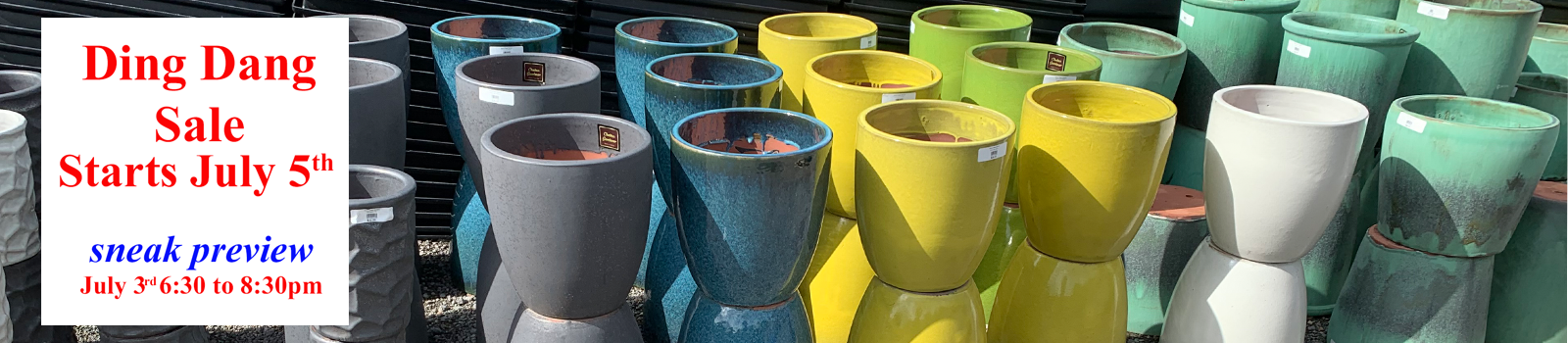 Click here to see some great bargains! - Nelson Water Gardens and Nursery