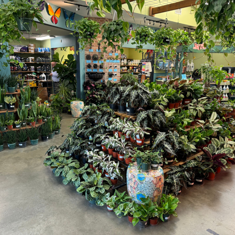 Nelson Water Gardens and Nursery | Full Service Nursery | Disappearing ...
